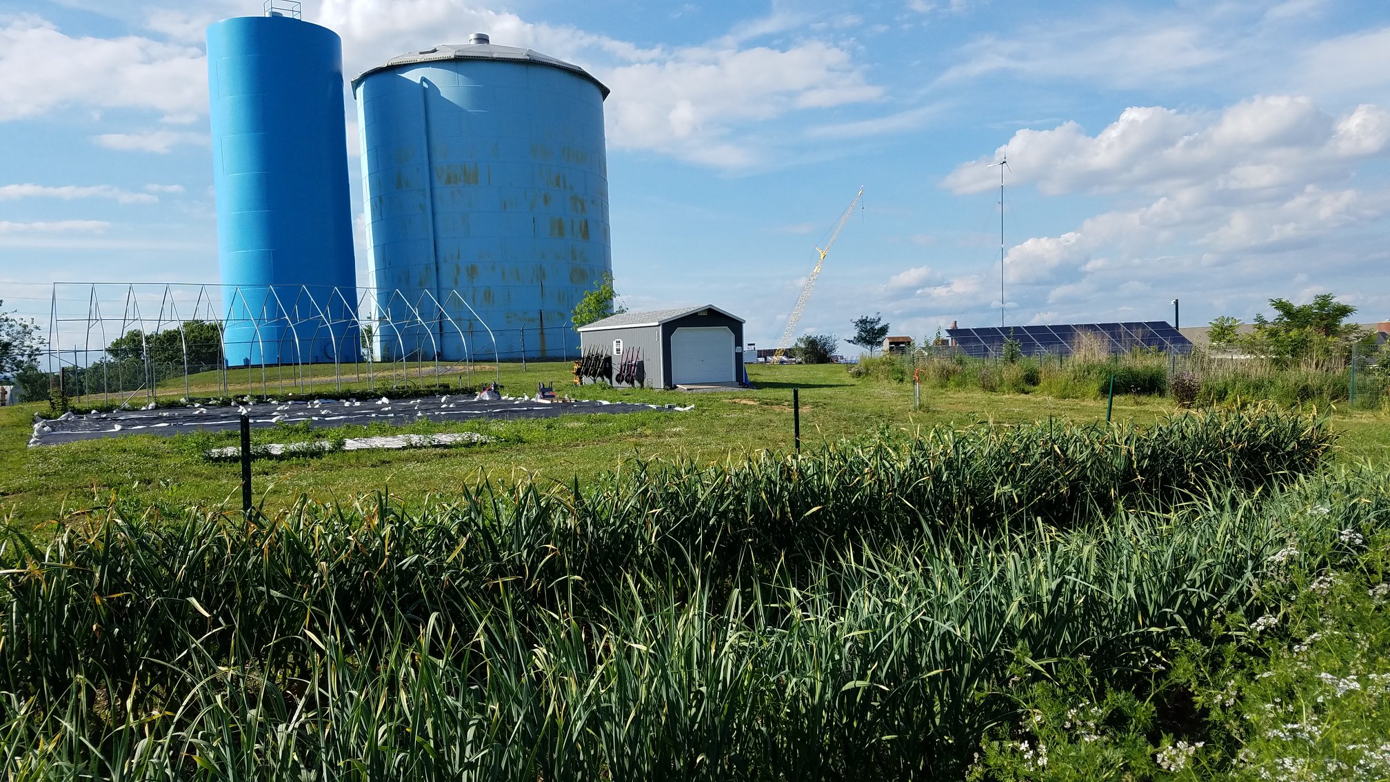 The Bucknell Farm: A Model for Regenerative Agriculture – Sprout to Stream